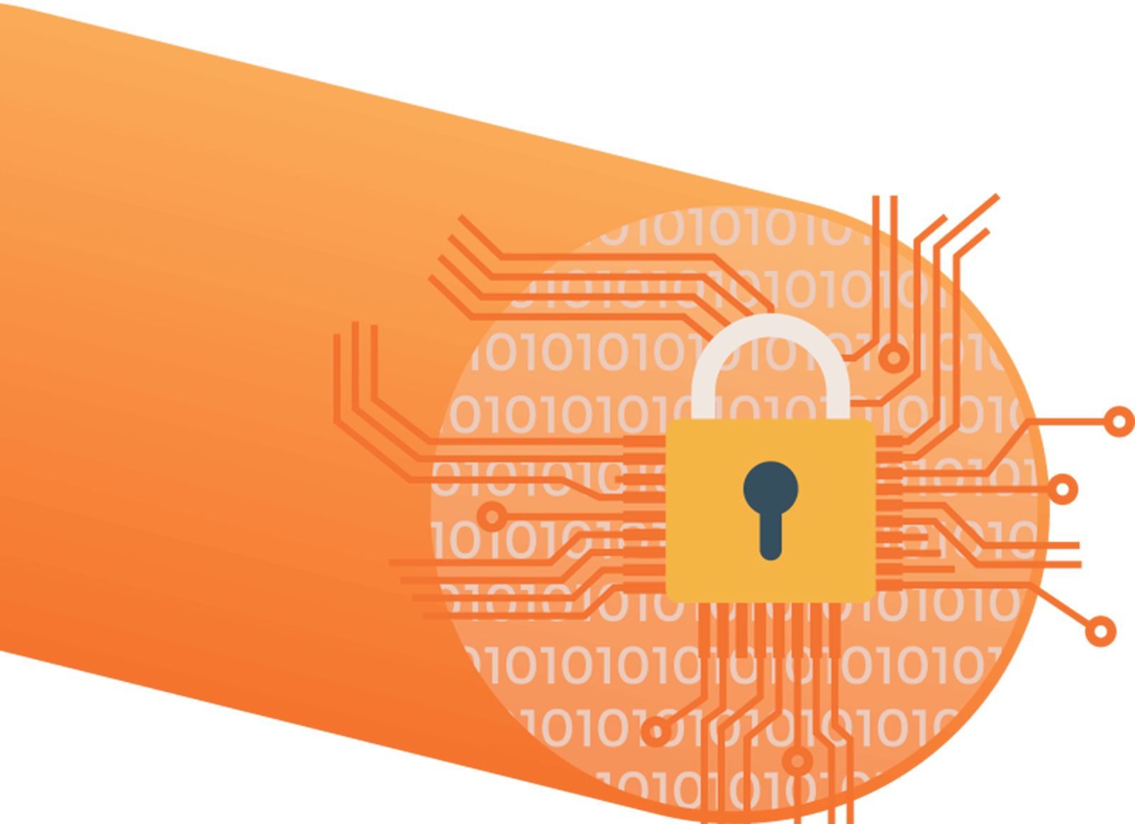 Defensible Disposition - Data443